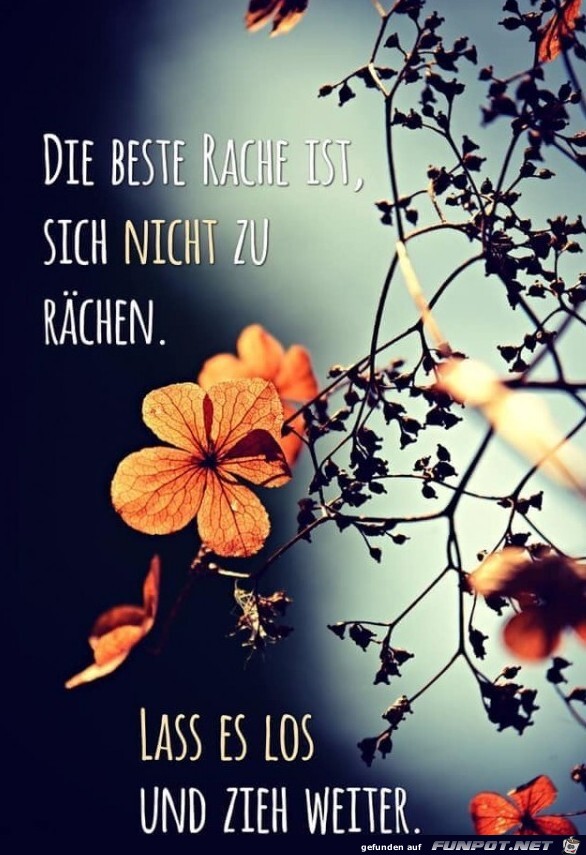 herziger Spruch 'die beste Rache' herziger Spruch 'die beste Rache'