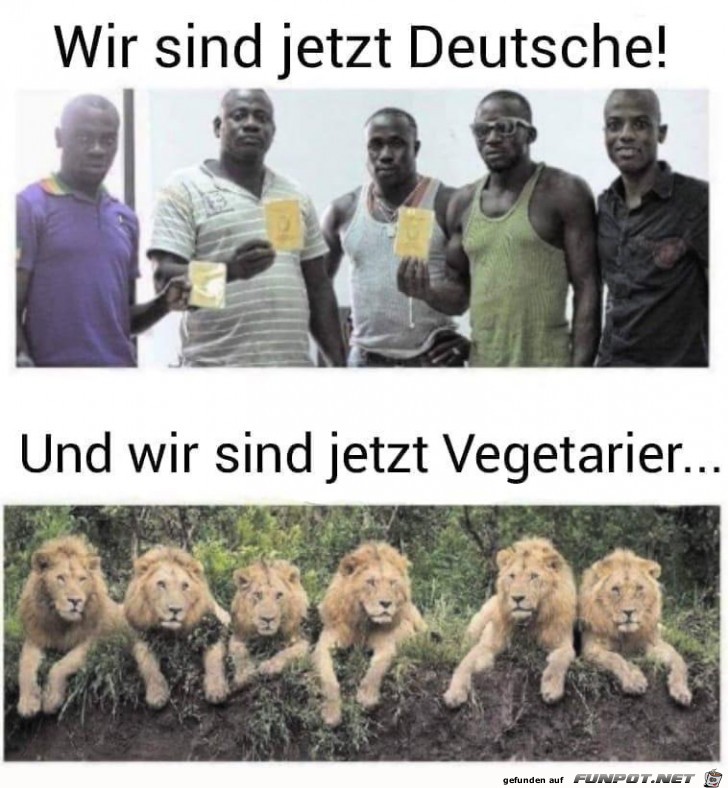 witziges Bild 'Vegetarier' - tausende Bilder auf FUNPOT witziges Bild 'Vegetarier' - tausende Bilder auf FUNPOT