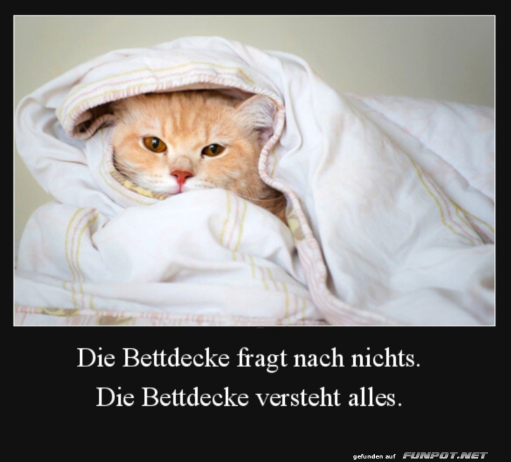 Witziges Bild Die Bettdecke Tausende Bilder Auf FUNPOT Witziges Bild Die Bettdecke Tausende Bilder Auf FUNPOT