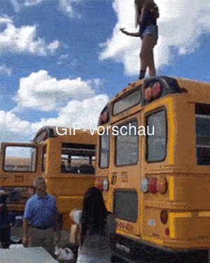 animiertes GIF 'Stier'