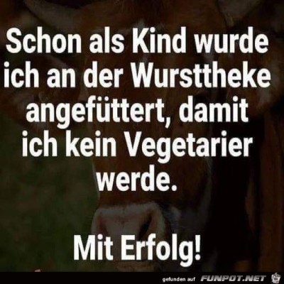 lustige Bilder, Videos und PowerPoints