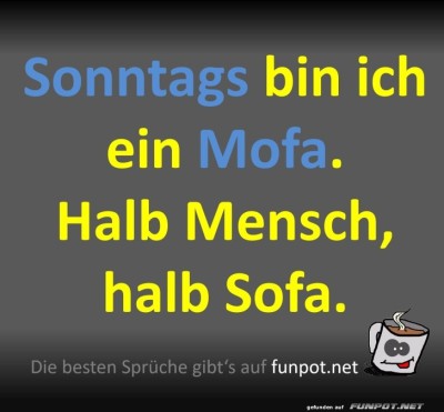 die beste Auswahl für den 10. November 2024 von funpot