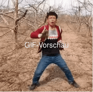 animiertes GIF 'witzige animierte Bilder aus verschiedenen Blogs'