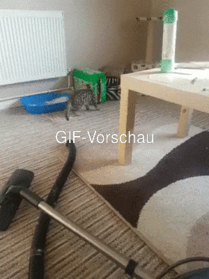 animiertes GIF 'Reanimation'
